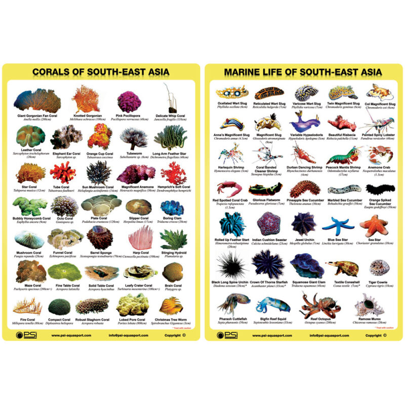 Fish ID Slates | PSI Prodive